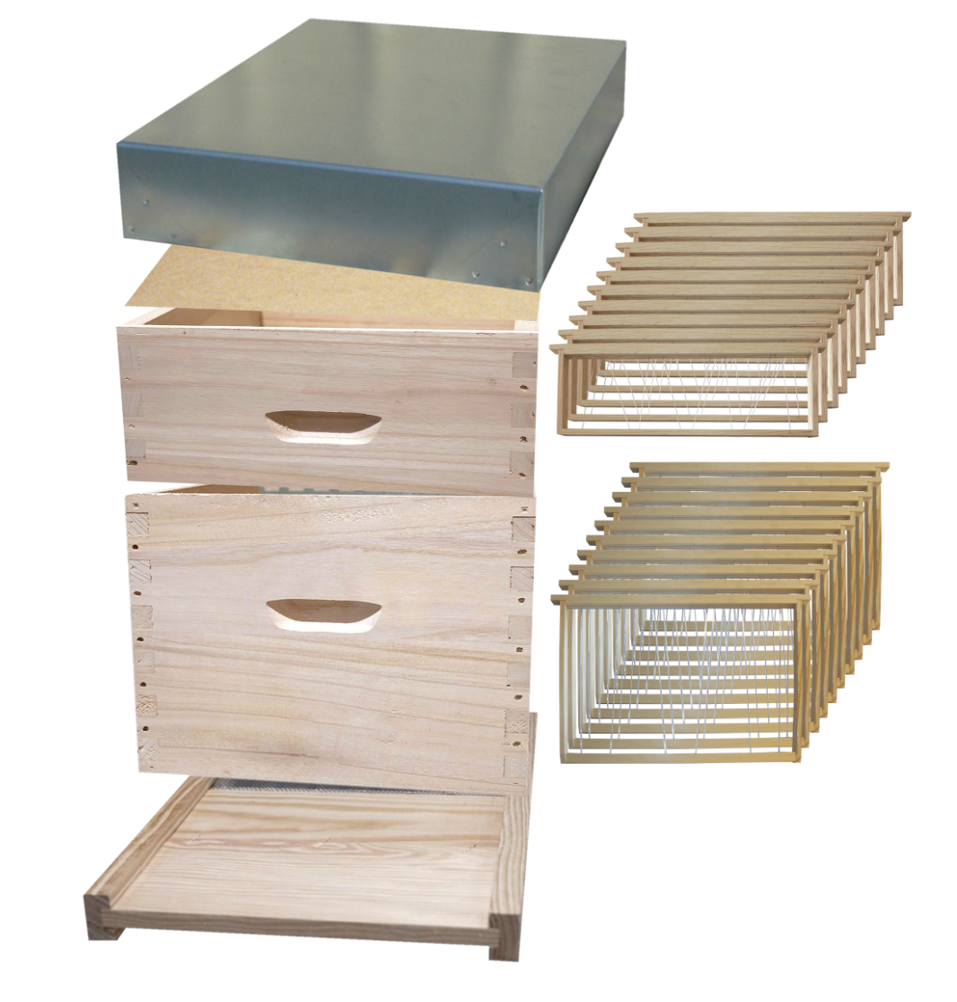 Ruche Dadant 10 en paulownia, GREENBEE extralight, avec hausse et ...