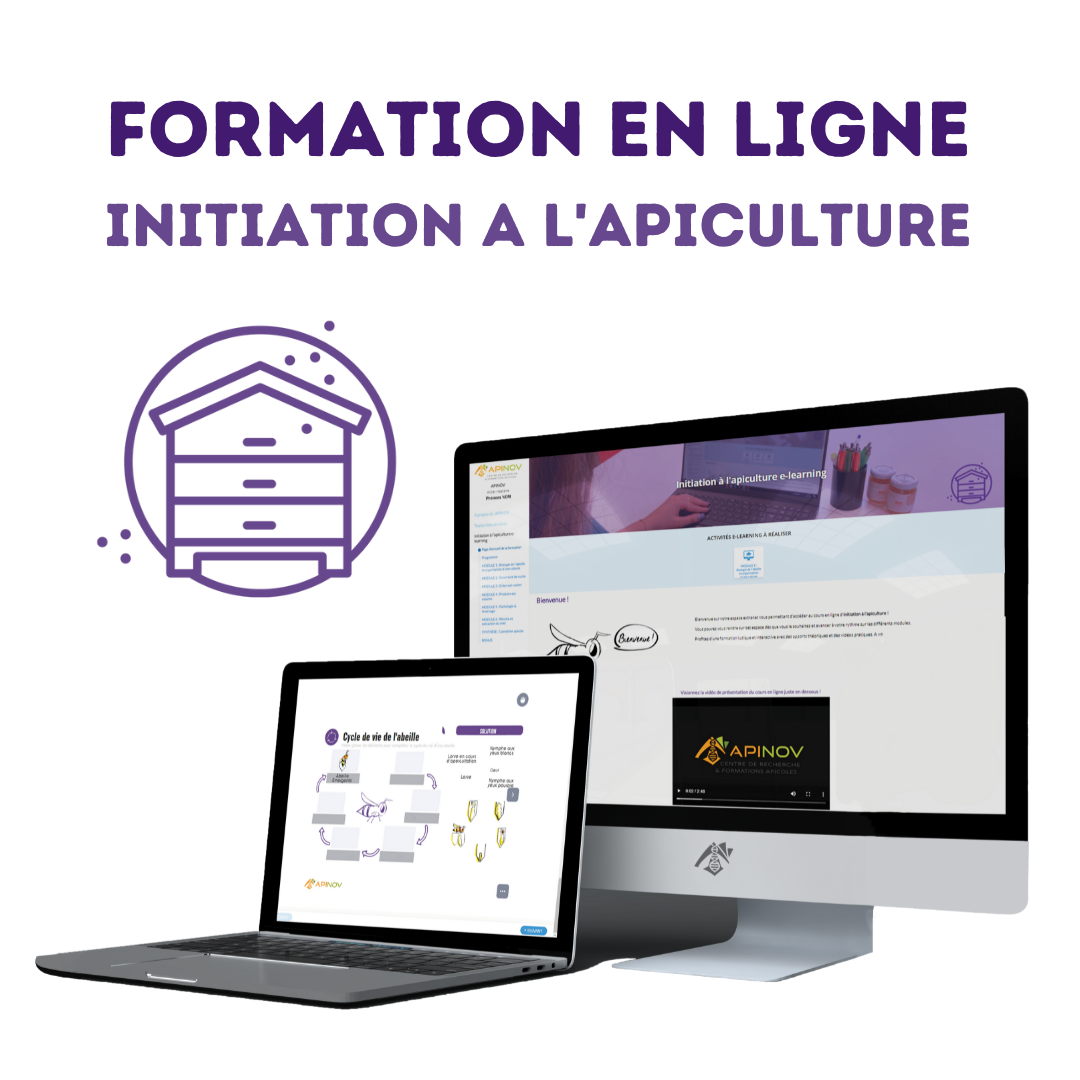 Formation en ligne - Initiation à l'Apiculture - Naturapi