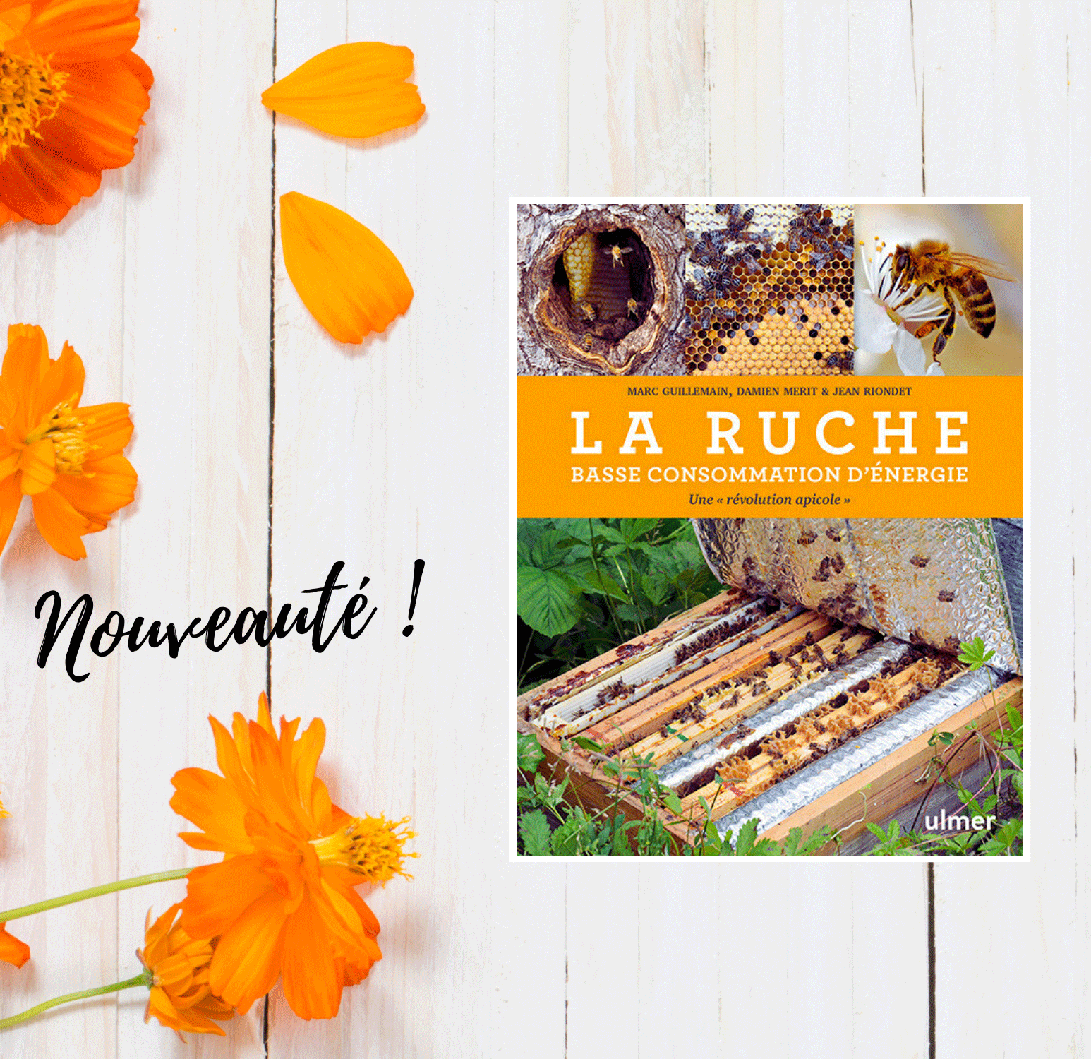 Vente de matériel pour les apiculteurs - Naturapi : Tout pour l'apiculteur