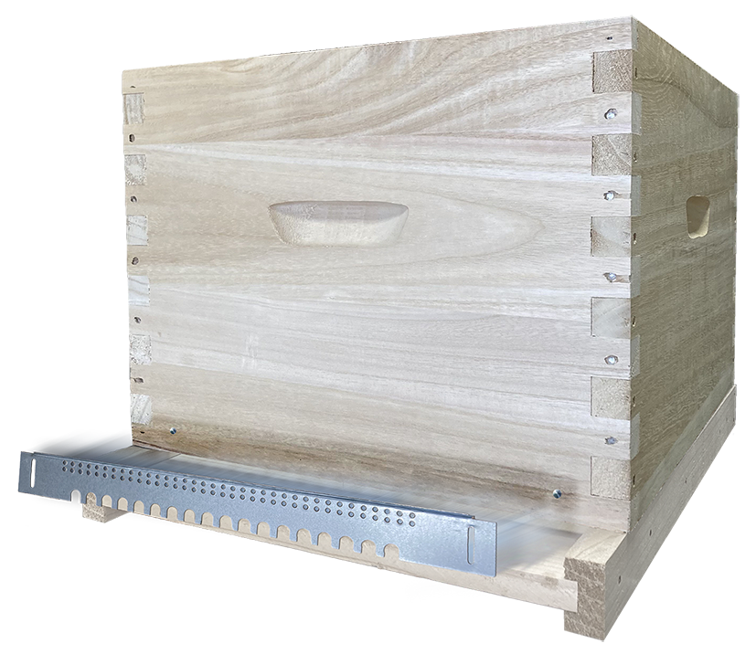 Qu’est-ce que le Paulownia ? - Naturapi Blog