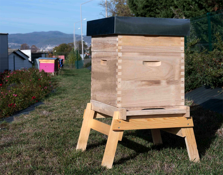 La Ruche en Paulownia - Naturapi Blog