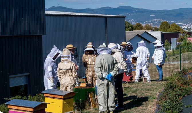 Stages d’Apiculture : s'initier avec Naturapi - Naturapi Blog