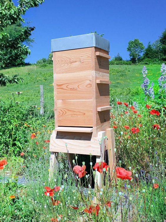 La Ruche Warré : fonctionnement et avantages - Naturapi Blog