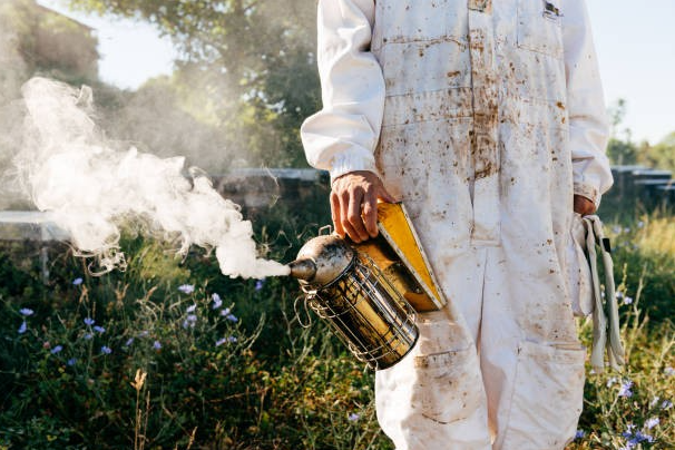 Les alternatives à l'enfumoir en apiculture - Naturapi Blog